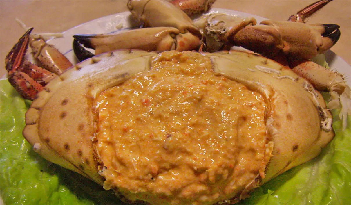 Sapateira recheada especial - a verdadeira receita para que fique ...